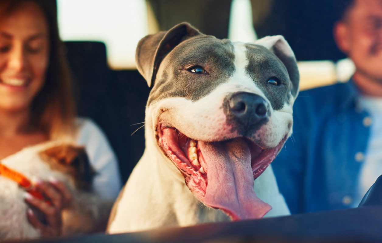 Unleash Yourself - Great Meadow Federal Credit Union